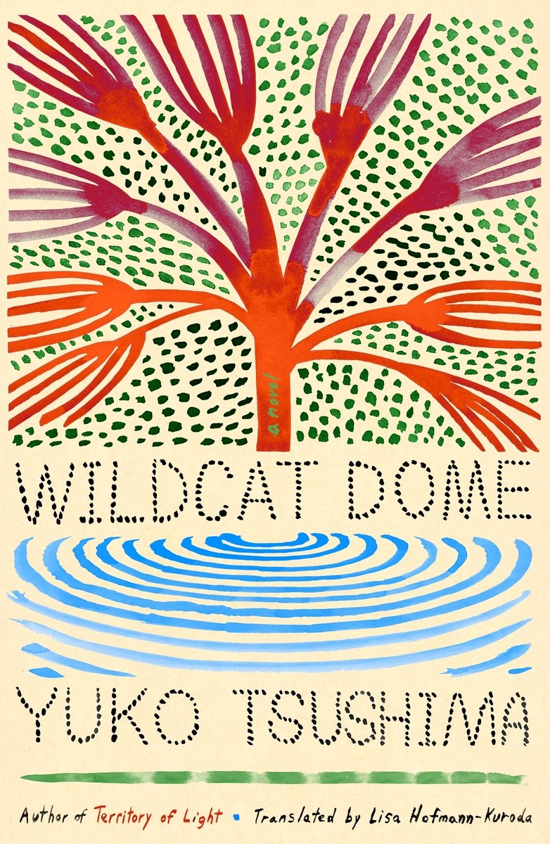 Wildcat Dome a book by Yuko Tsushima and Lisa Hofmann-Kuroda