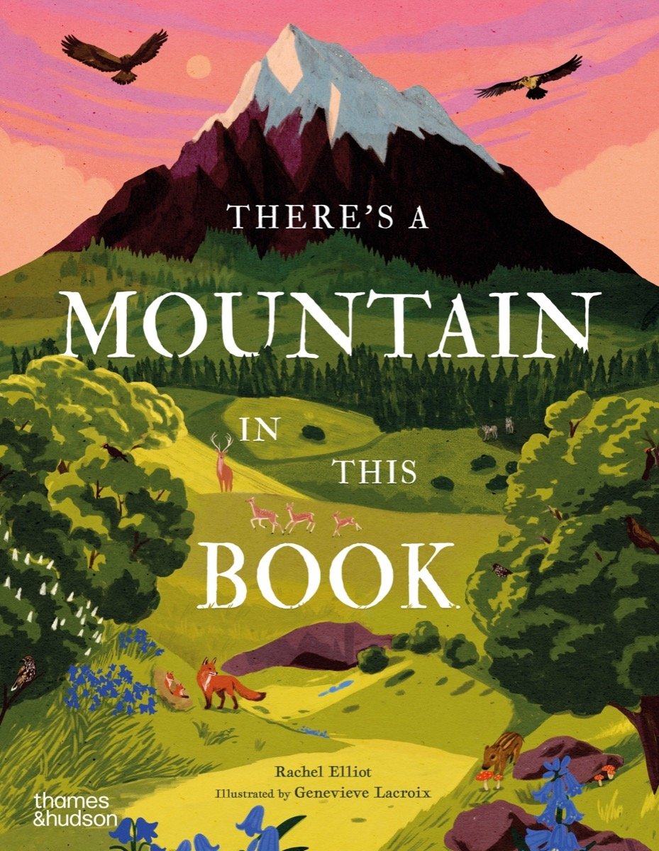 There's a Mountain in This Book a book by Rachel Elliot and Genevieve ...