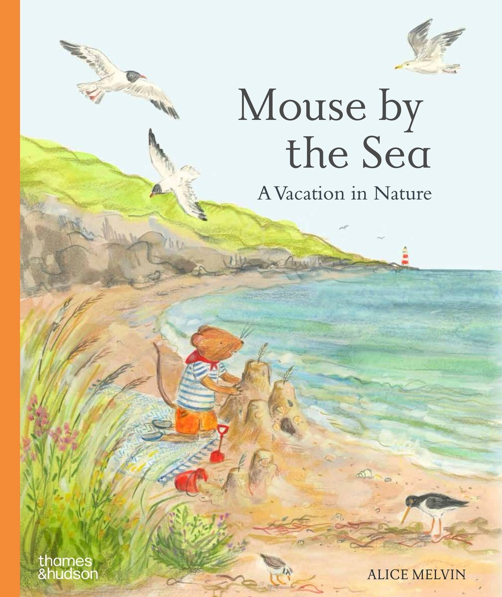 Let's build a ship: Adventures around the world - Bookshop.org