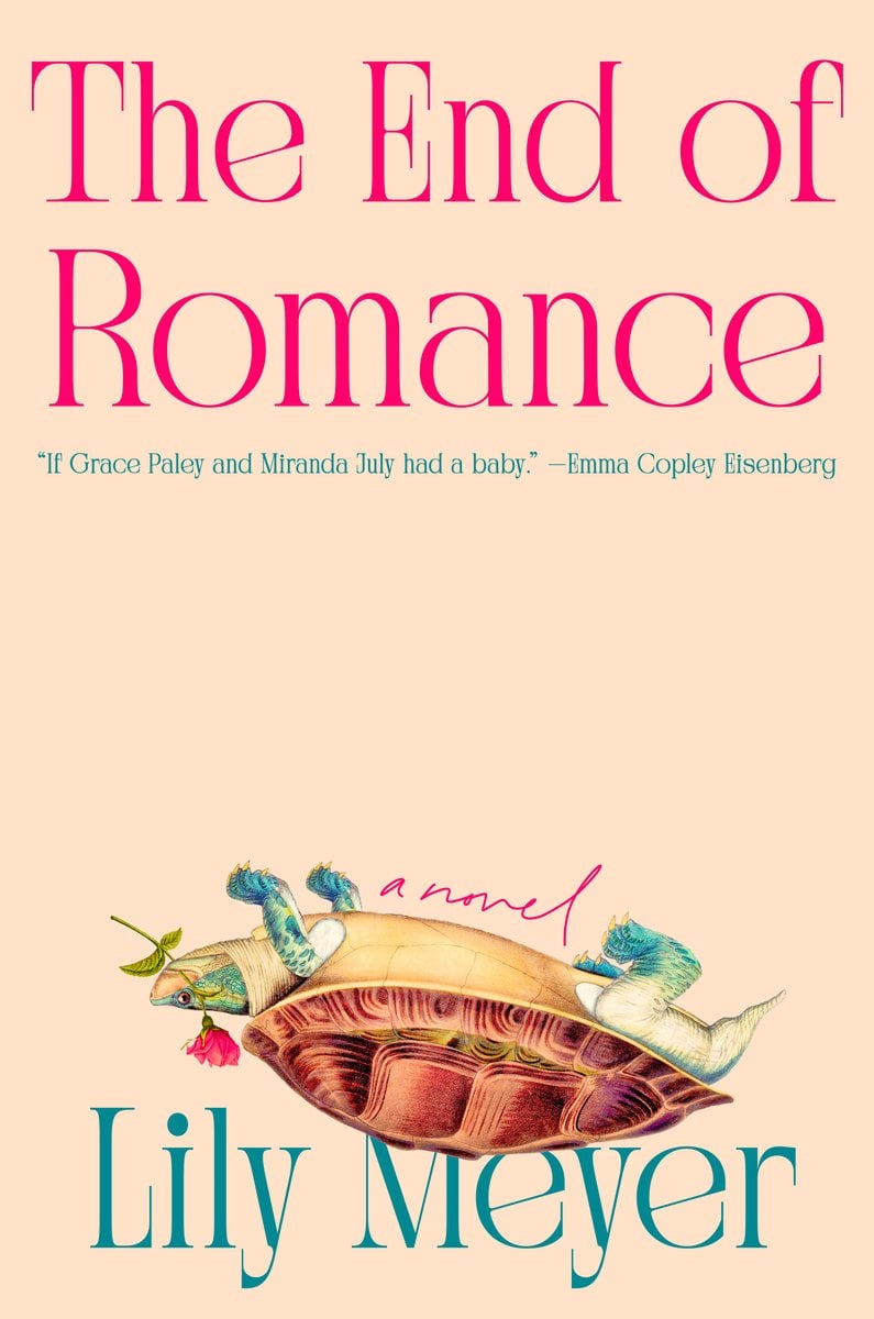 The End of Romance a book by Lily Meyer - Bookshop.org US