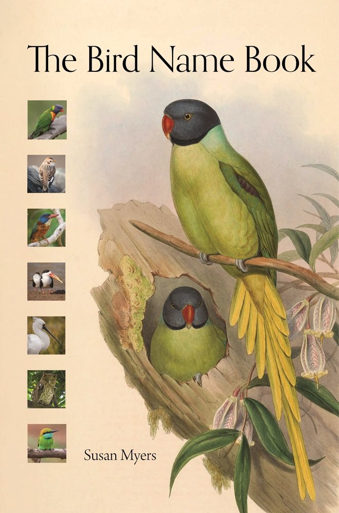 BIRDS, BIRDERS, & BIRDWATCHING: The Best Books of 2022 - Bookshop.org