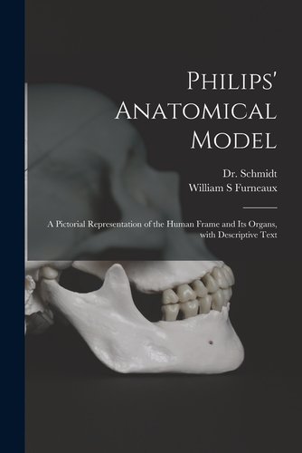 Philips' Anatomical Model: a Pictorial Representation of the Human ...