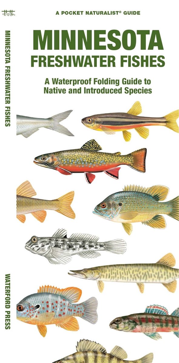Minnesota Freshwater Fishes a book by Matthew Morris and Raymond Leung ...