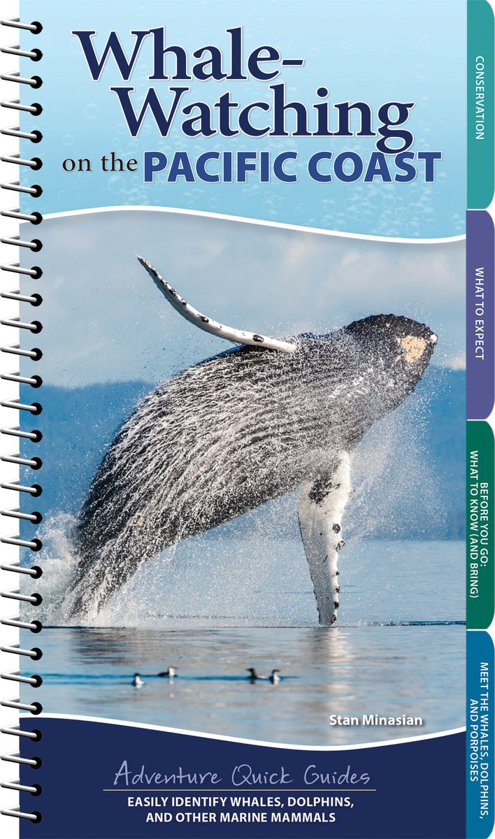 Whale-Watching on the Pacific Coast a book by Stan Minasian - Bookshop ...