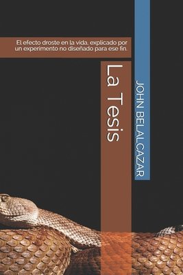 La Tesis: El efecto droste en la vida, explicado por un experimento no ...