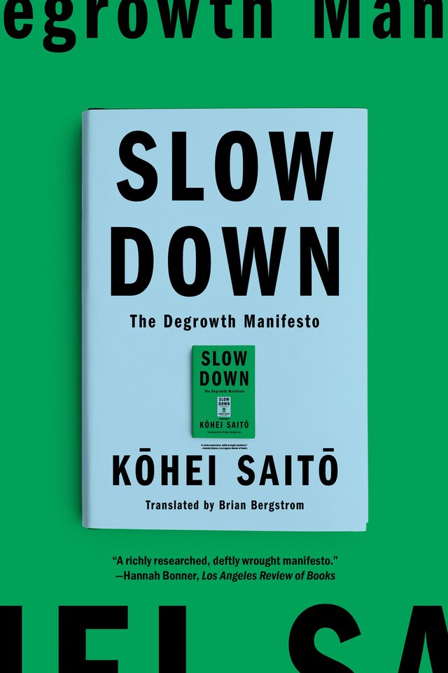 Slow Down a book by KOHEI SAITO and Brian Bergstrom - Bookshop.org US