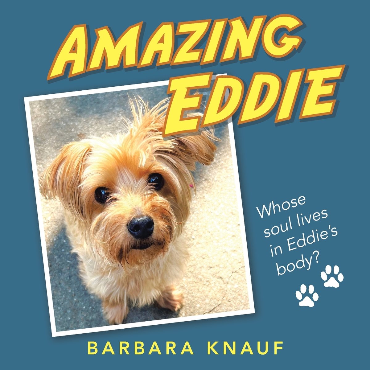 Amazing Eddie a book by Barbara Knauf - Bookshop.org US