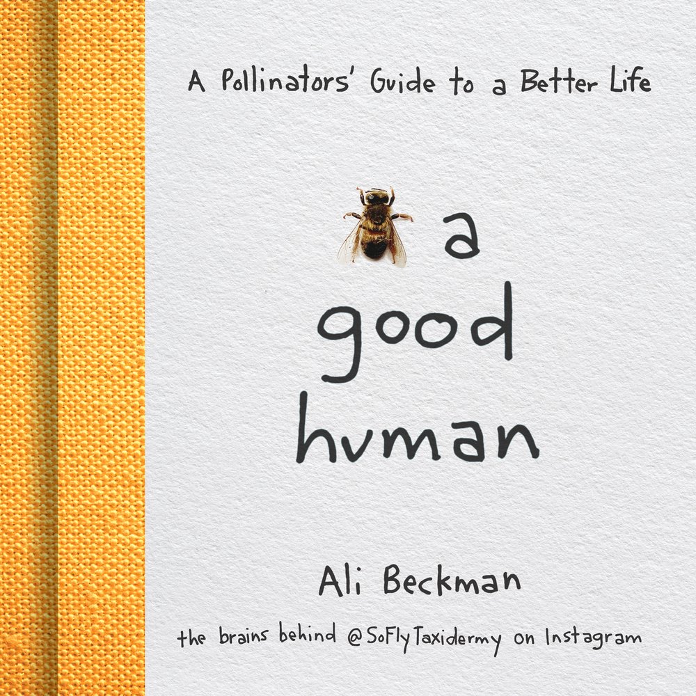 Bee a Good Human a book by Ali Beckman - Bookshop.org US