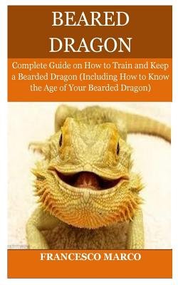 Bearded Dragon: Complete Guide on How to Train and Keep a Bearded ...