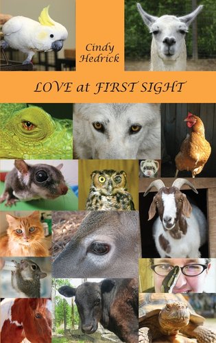 Love at First Sight a book by Cindy Hedrick