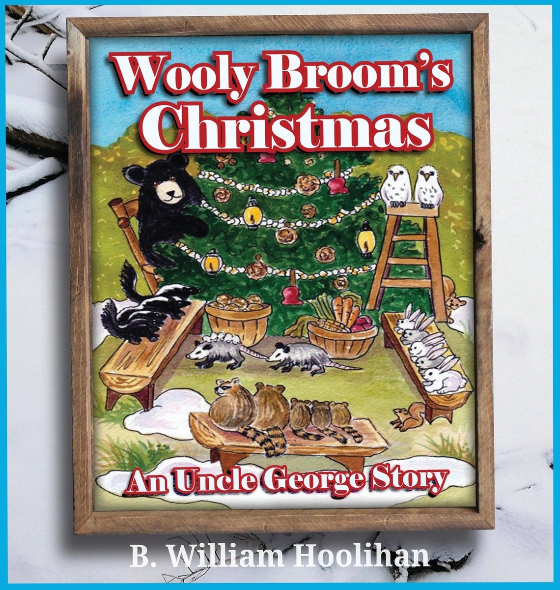 Wooly Broom's Christmas a book by B William Hoolihan, Michael Dorer ...