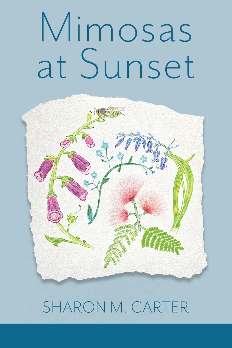 Mimosas at Sunset a book by Sharon M Carter and Lana Hechtman Ayers ...