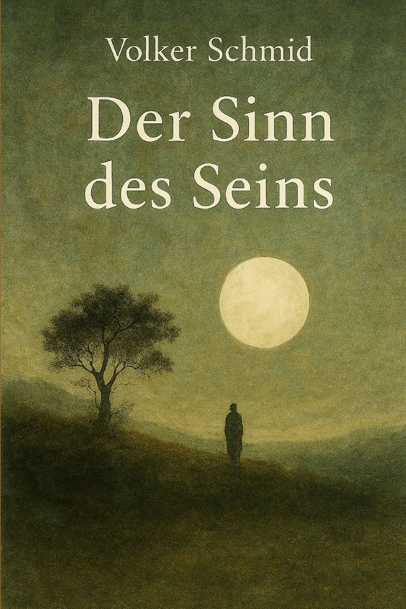 Der Sinn des Seins a book by Volker Rudolf Schmid - Bookshop.org US