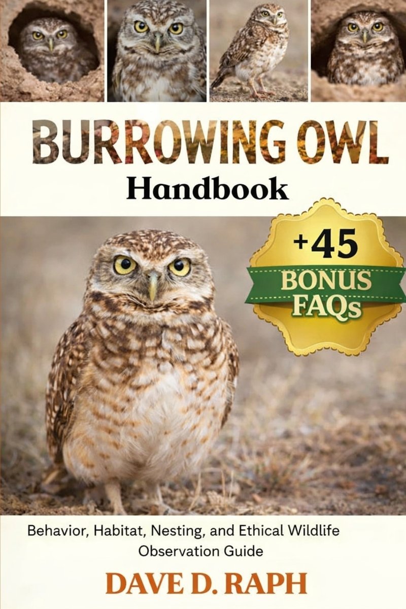 Burrowing Owl Handbook a book by Dave D Raph - Bookshop.org US