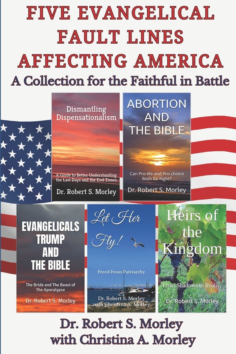 Five Evangelical Fault Lines Affecting America a book by Christina A ...