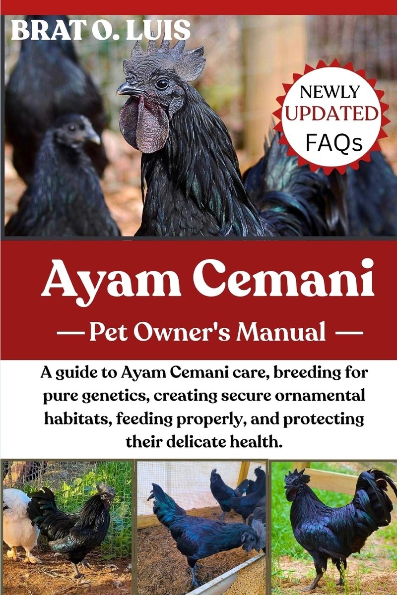Ayam Cemani a book by Brat O Luis - Bookshop.org US