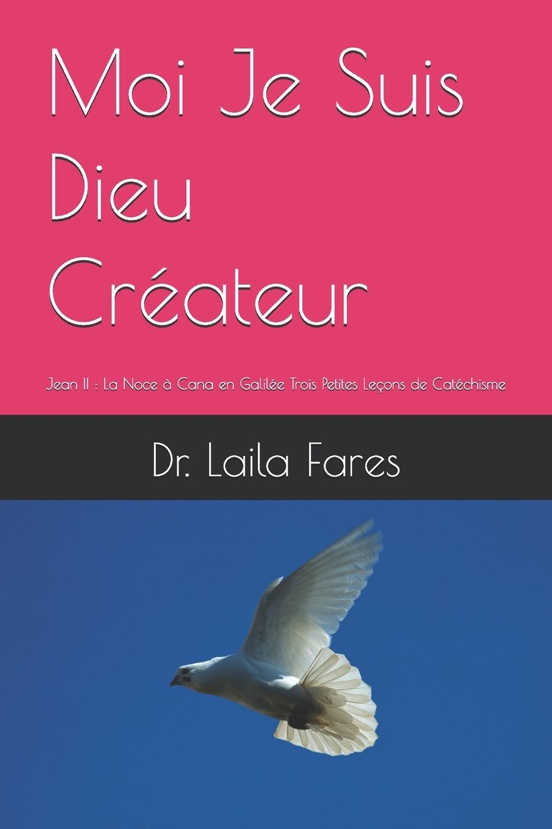 Moi Je Suis Dieu Créateur a book by Dr Laila Fares - Bookshop.org US