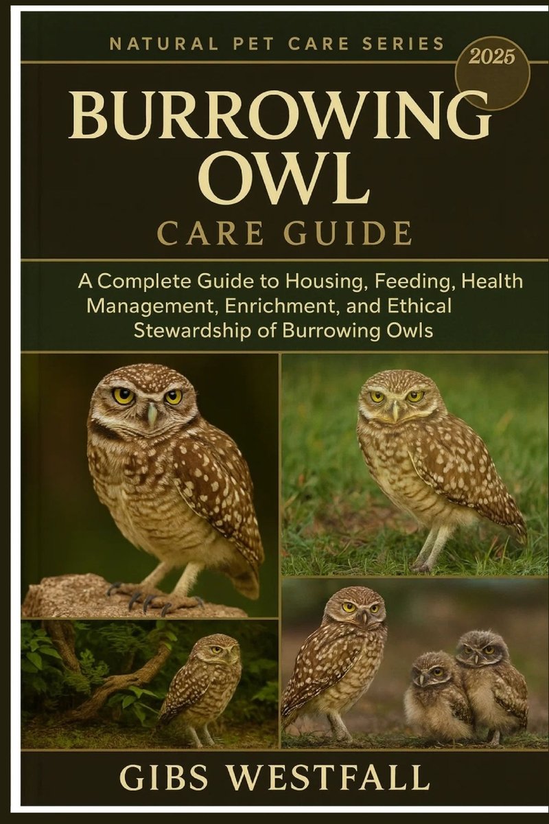 Burrowing Owl Care Guide a book by Gibs Westfall - Bookshop.org US