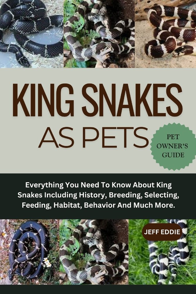 King Snakes as Pets a book by Jeff Eddie - Bookshop.org US