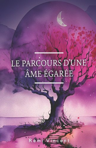 Le parcours d'une âme égarée a book by Rémi Vincent and Romane Begaint