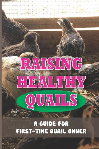 Raising Healthy Quails: A Guide For First-Time Quail Owner: Everything ...