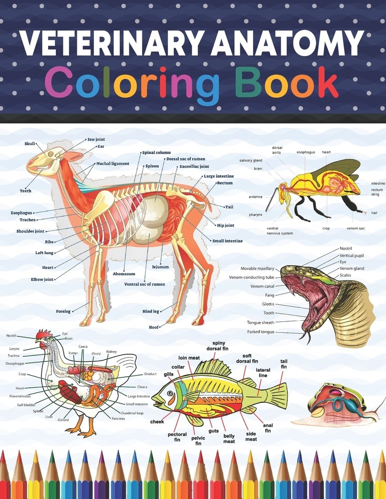 Veterinary Anatomy Coloring Book a book by Sreijeylone Publication ...