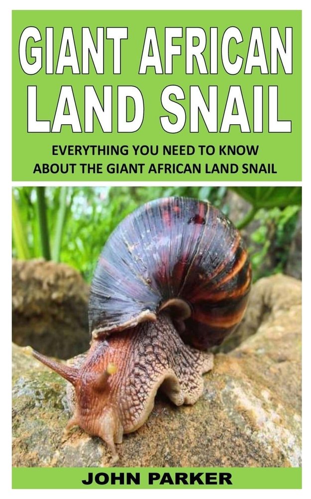Giant African Land Snail: Everything You Need to Know about the Giant ...