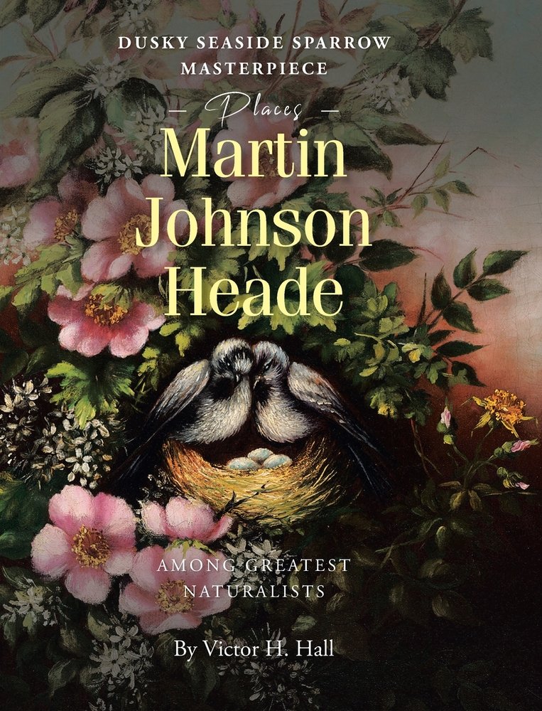 Dusky Seaside Sparrow Masterpiece Places Martin Johnson Heade Amongst ...