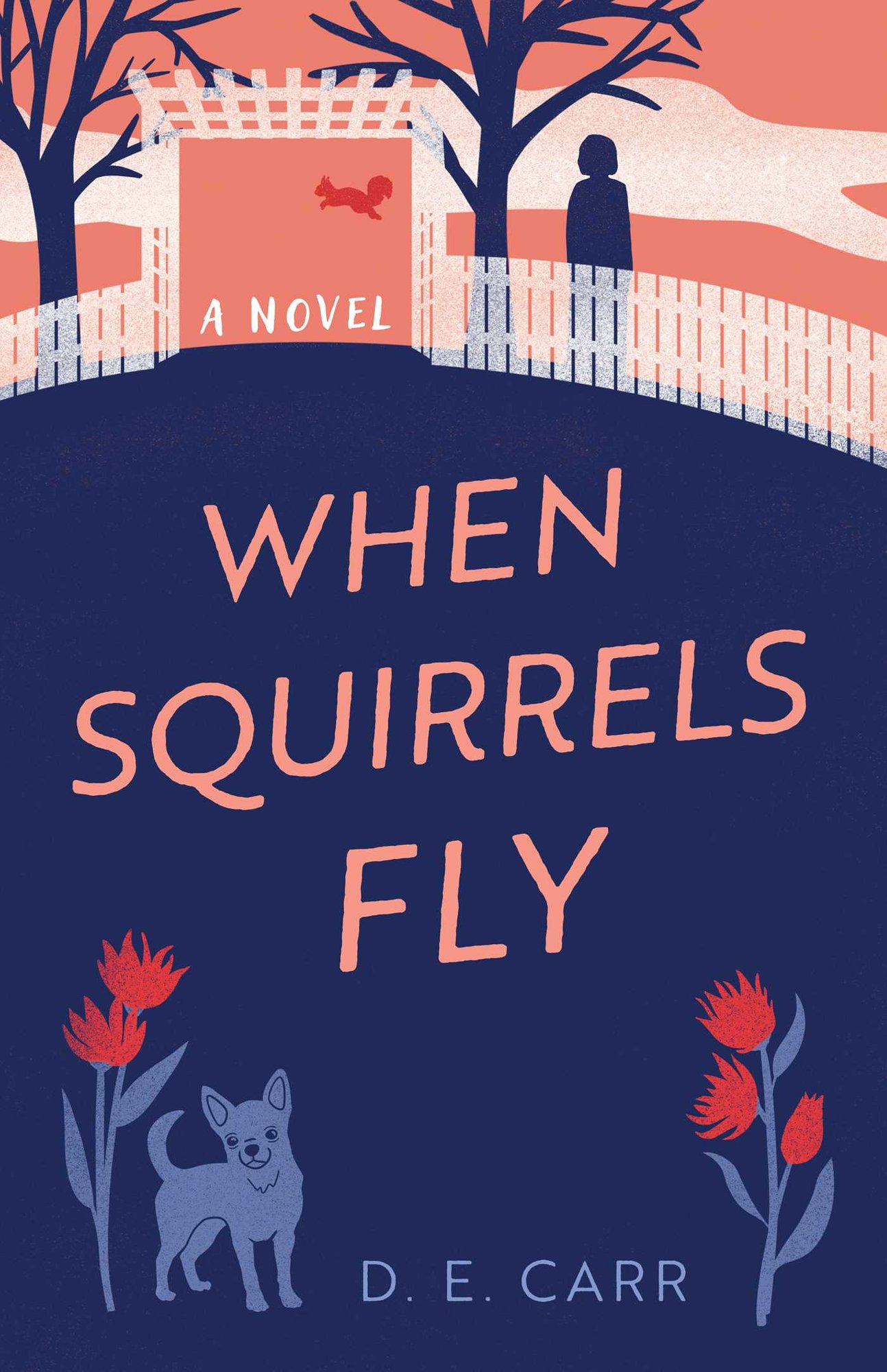 When Squirrels Fly a book by D. E. Carr - Bookshop.org US