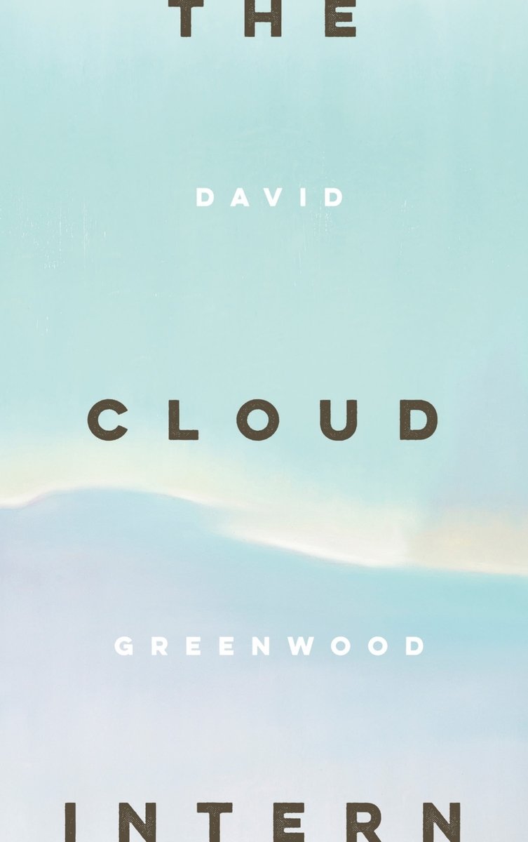 The Cloud Intern a book by David Greenwood MFA - Bookshop.org US